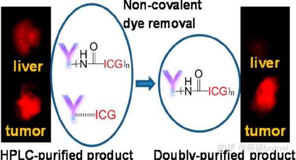 吲哚菁绿（ICG）一种近红外I区荧光染料 - 知乎
