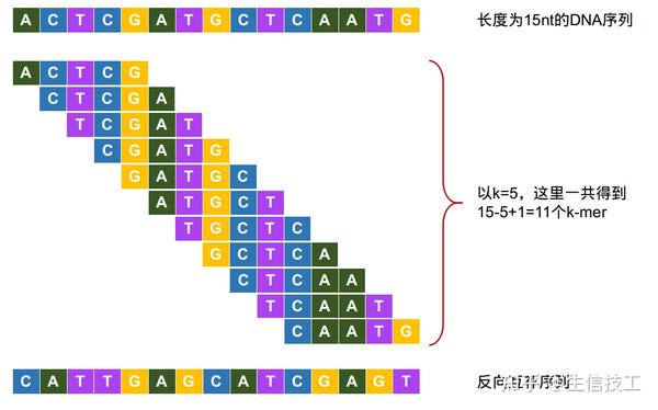 用k-mer进行基因组调查：（一）基本原理 - 知乎
