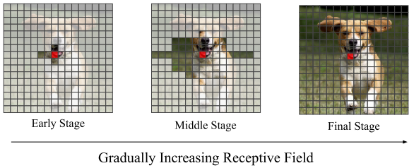 TransGAN：两个Transformer可以构造一个强大的GAN - 知乎
