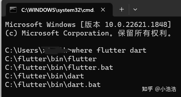 Windows Flutter环境配置教程 知乎 6067