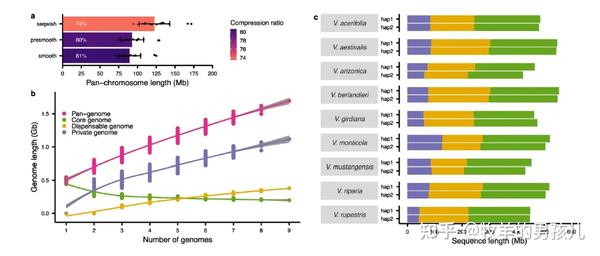 泛基因组分析流程pggb可以用来做基因组层面的比对并分析snp和indel - 知乎