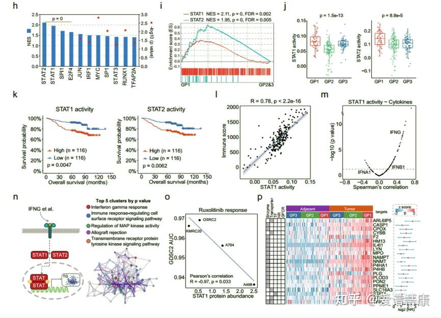 基于蛋白质谱的转录因子筛选图谱 - 知乎