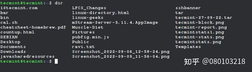如何在Linux中使用具有不同选项和参数的'dir'命令 - 知乎