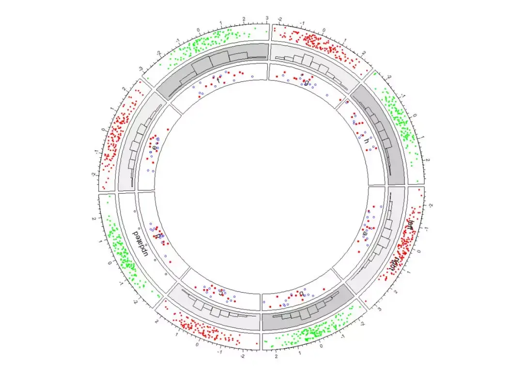 用circlize包绘制circos-plot - 知乎