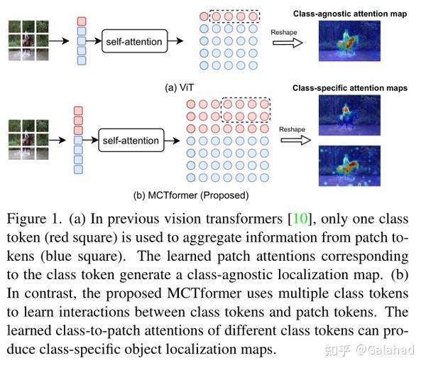 CVPR2022 | MCTformer:谁说Vision Transformer只能有一个class token? - 知乎 CVPR2022 | MCTformer:谁说Vision Transformer只能有一个class token? - 知乎