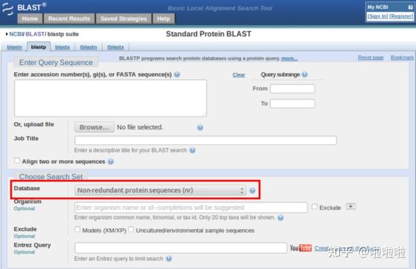 使用Blast验证质粒的一些建议 - 知乎