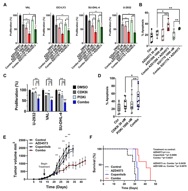 Molecular Cancer|CDK9抑制诱导表观遗传重编程，揭示了规避淋巴瘤耐药性的策略 - 知乎