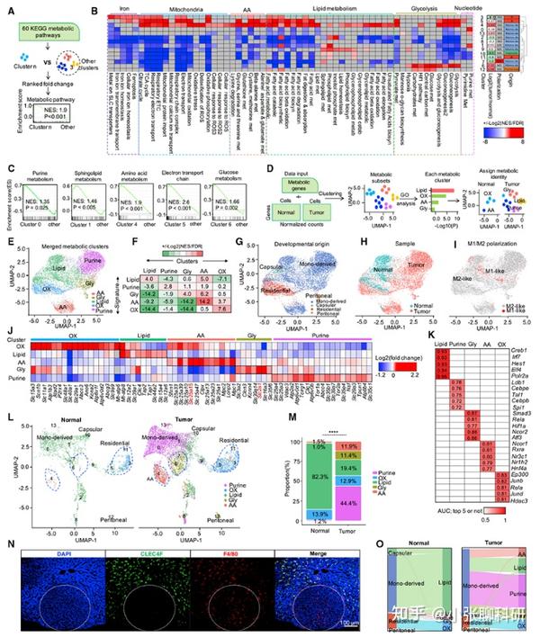 玩出了“新花样”的肿瘤相关巨噬细胞（TAMs）研究 - 知乎