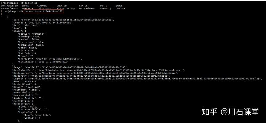 Docker 常用命令——容器命令 知乎