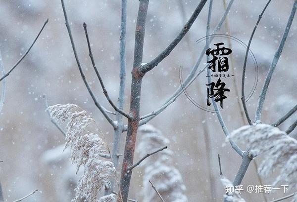 100句关于霜降的文案精选 知乎