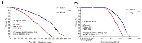 Nature子刊重磅：延寿64.2%！史上最强天然衰老细胞清除剂被发现 - 知乎