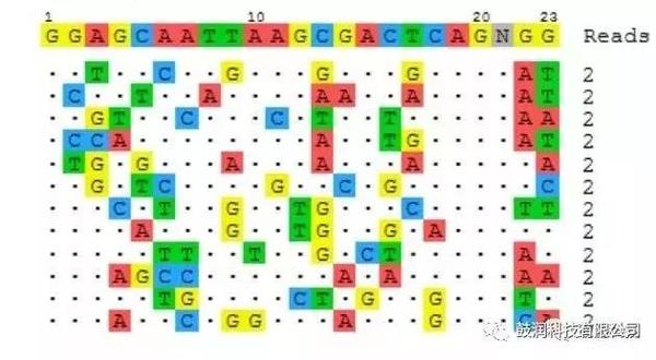 GUIDE-Seq——准确、高效的真核细胞内CRISPR基因编辑的在靶与脱靶效率评估方法 - 知乎