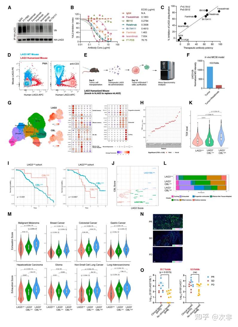 免疫检查点新突破：LAG3激活背后的秘密 - 知乎