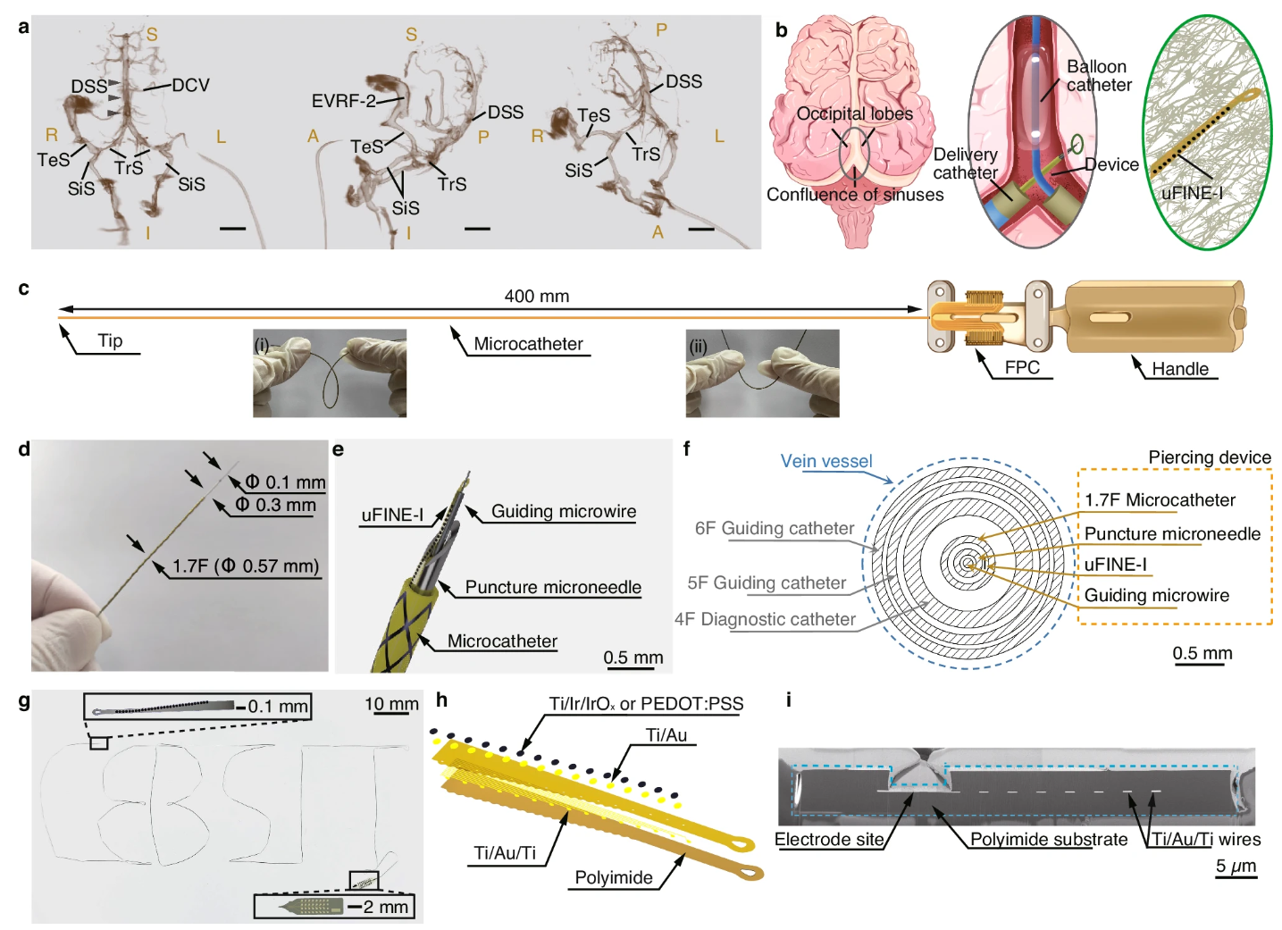 脑机启侦|突破传统的脑机接口路径：一种通过血管递送的超柔性神经电极阵列（05.20） - 知乎