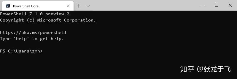 Windows10 安装最新版 PowerShell 及 Windows Terminal 并美化 - 知乎