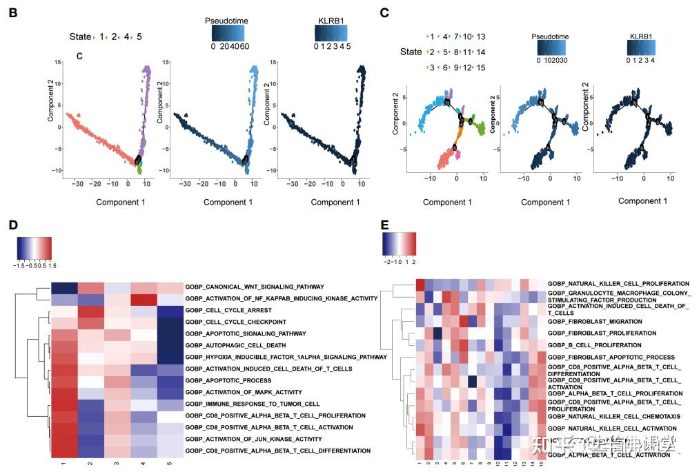 8+单基因泛癌生信，来看看一个什么样的基因可以发4篇单基因泛癌生信文章！ - 知乎