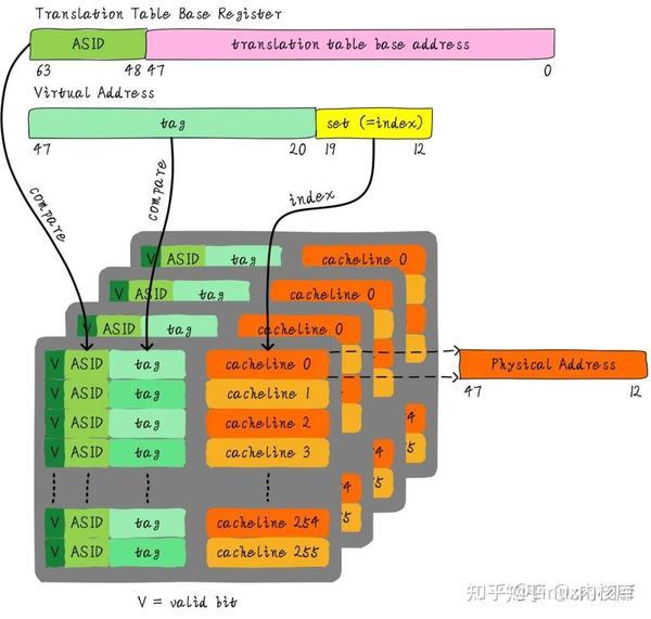深入理解缓存 TLB 原理 - 知乎