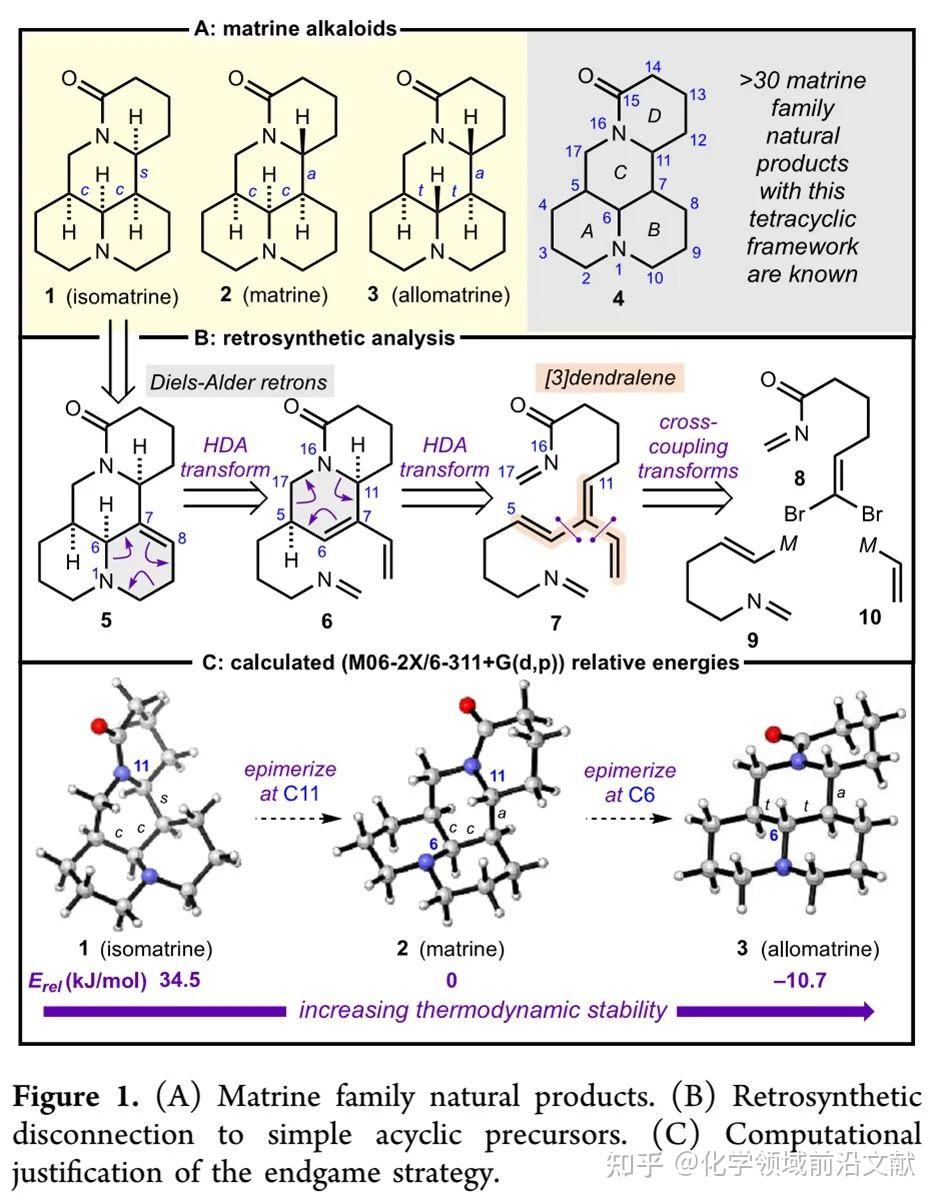 JACS：两次HDA反应实现多个苦参碱的高效全合成 - 知乎