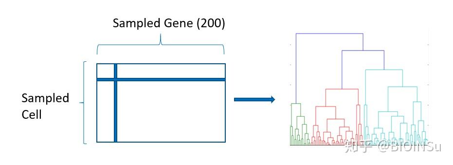 dropClust:大规模单细胞RNA数据的聚类方法|理解 - 知乎