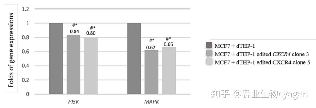 THP-1细胞系在免疫与炎症研究中的应用 - 知乎
