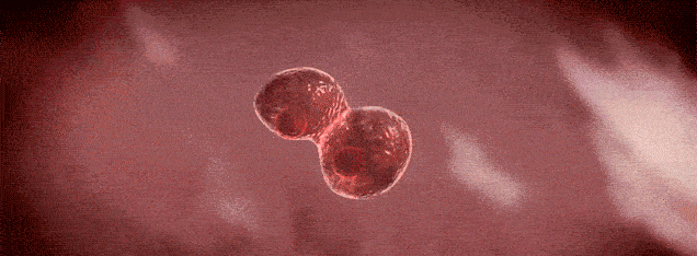 红蓝光科普系列丨痤疮不可怕！红蓝光帮您轻松解决“面子”问题 - 知乎