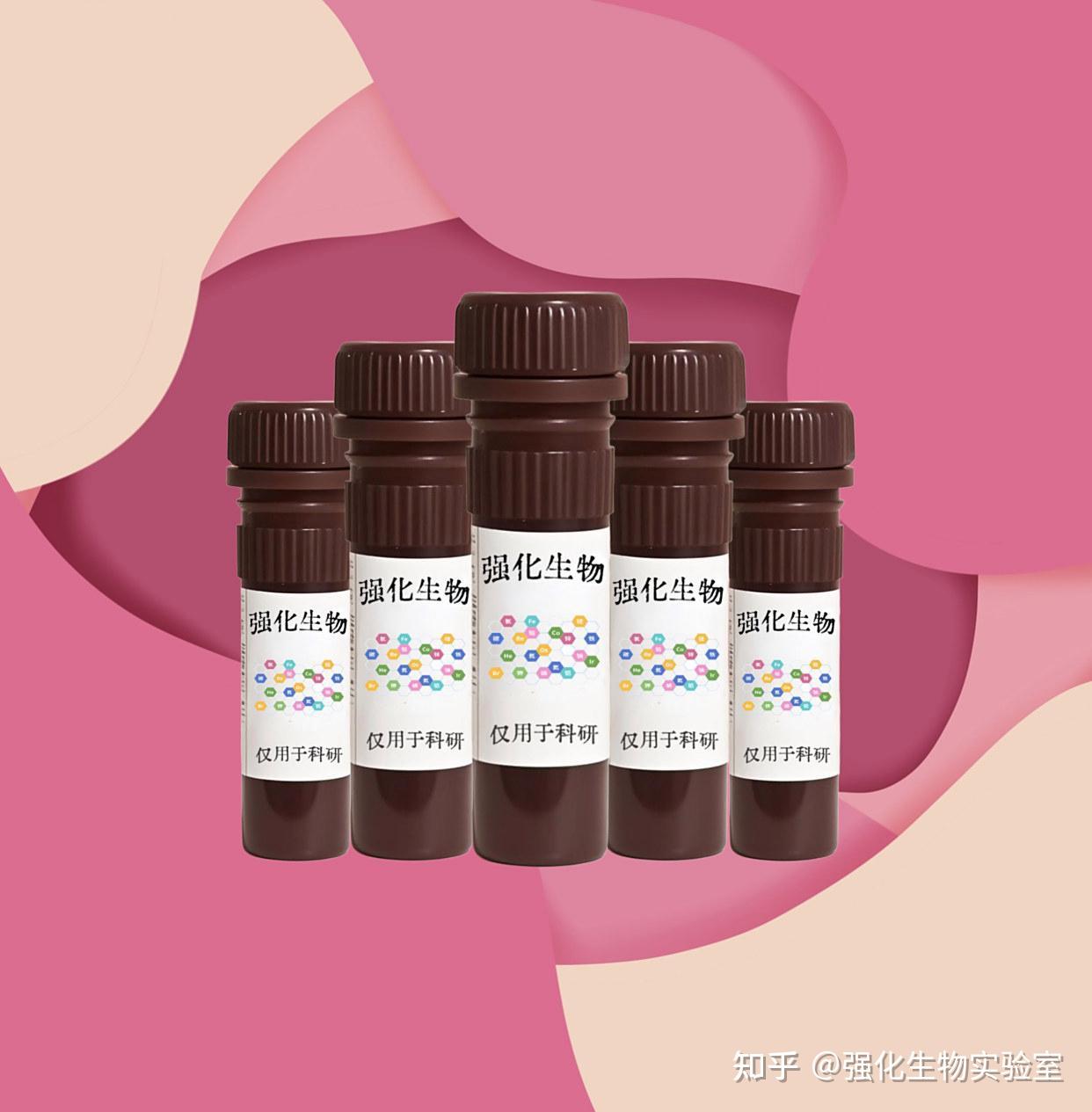 干货篇：Annexin V-APC/7-AAD Apoptosis Detection Kit的常见问题解答 - 知乎