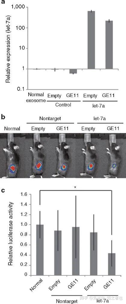 GE11让肿瘤庇护神EGFR无可遁形 - 知乎