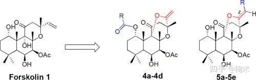 TargetMol 明星分子——Forskolin - 知乎