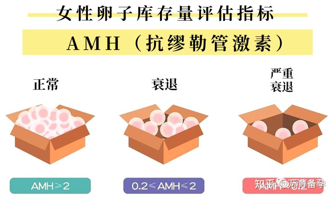 女性AMH正常值范围是多少？ 教你看懂AMH检查报告！ - 知乎