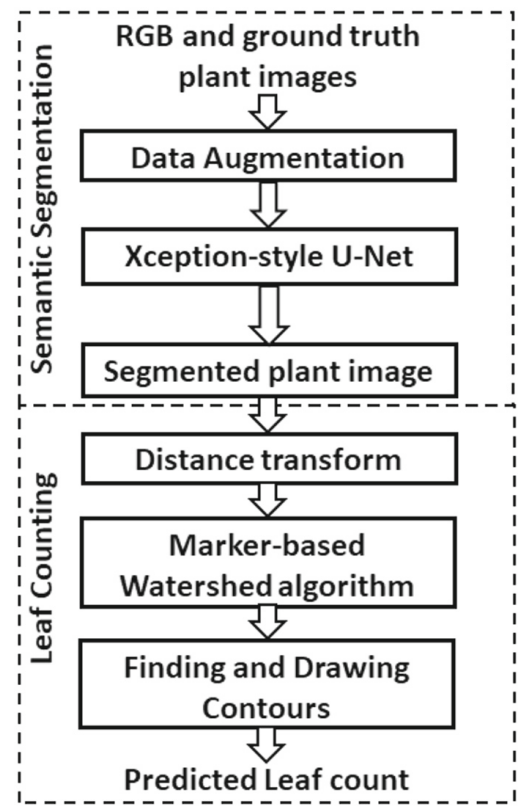 使用Xception-style U-Net和分水岭算法对莲座叶植物进行叶子分割和计数 - 知乎