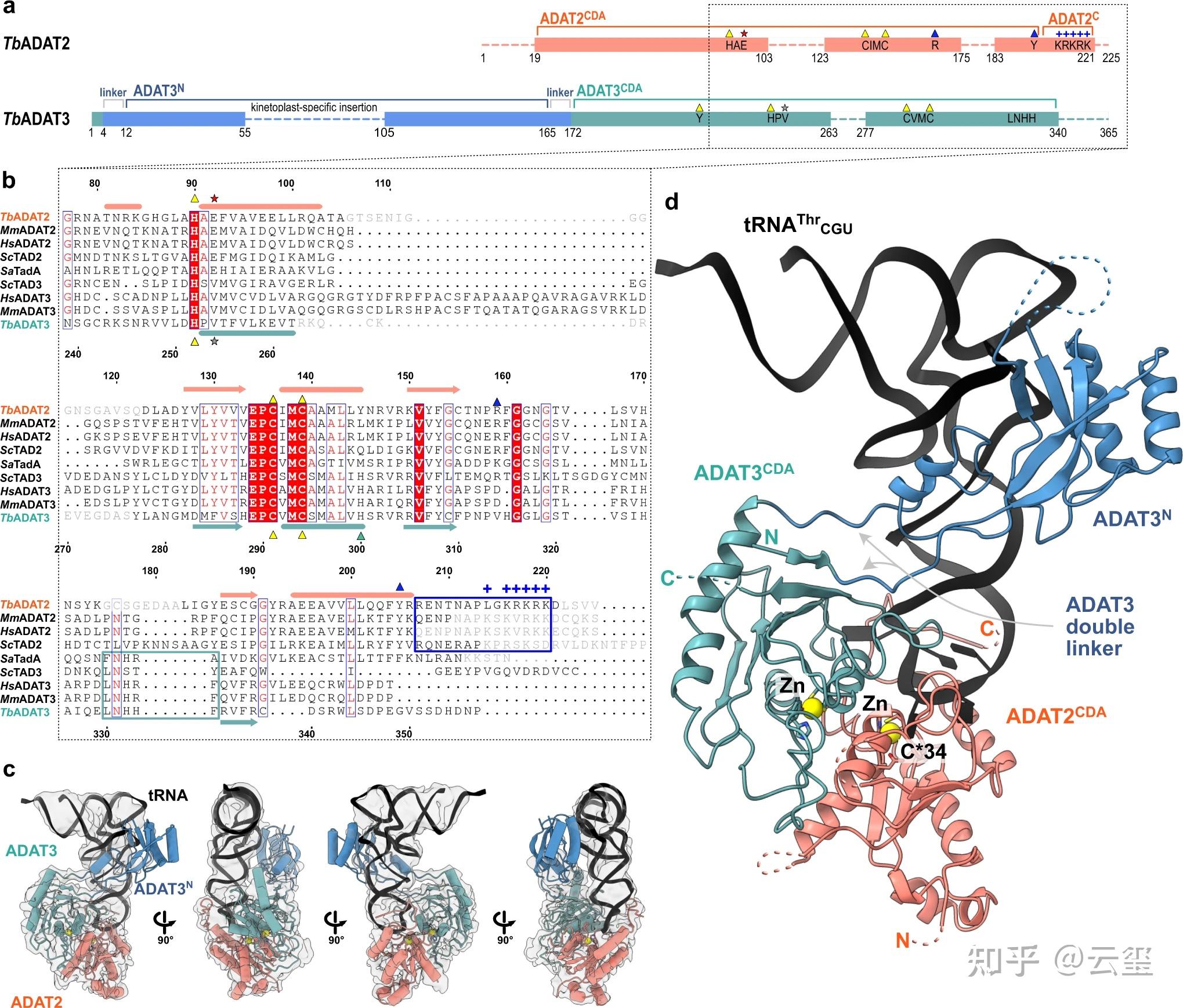 Alphafold 3使用教程分享 - 知乎