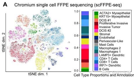 基于FFPE样本的单细胞、空间和原位分析技术三者联用揭示乳腺癌肿瘤微环境 - 知乎