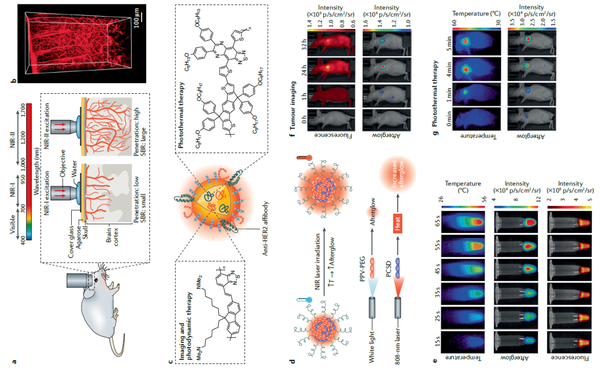 Ian manners院士《Nature Reviews Mater.》重磅综述：π-共轭聚合物方案组装功能性纳米颗粒 - 知乎