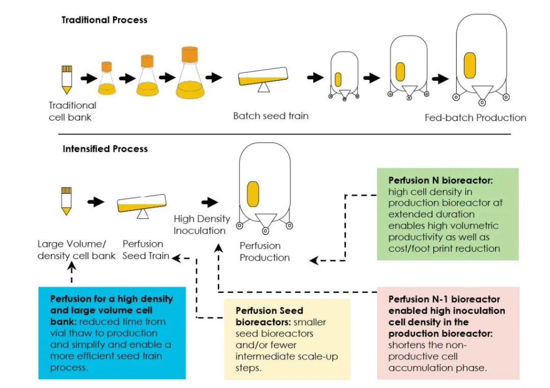 9-曜享干货 | ICB的开端——灌流培养与上游工艺的珠联璧合（一） - 知乎