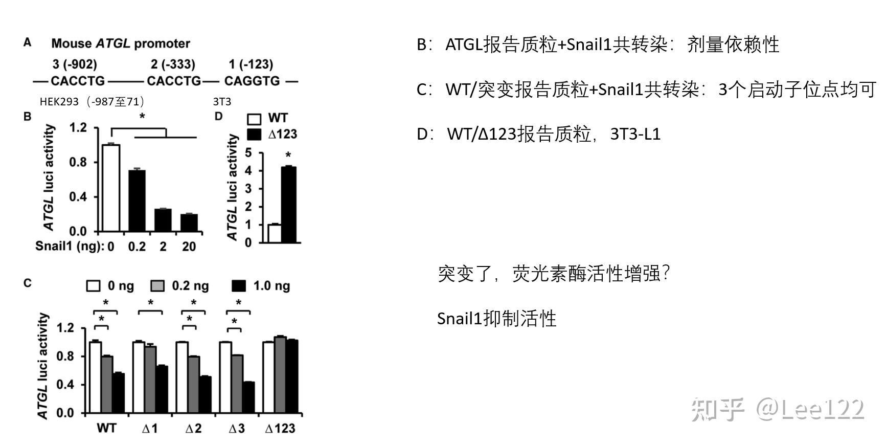 脂肪Snail1通过抑制ATGL的表达调节脂质分解 - 知乎