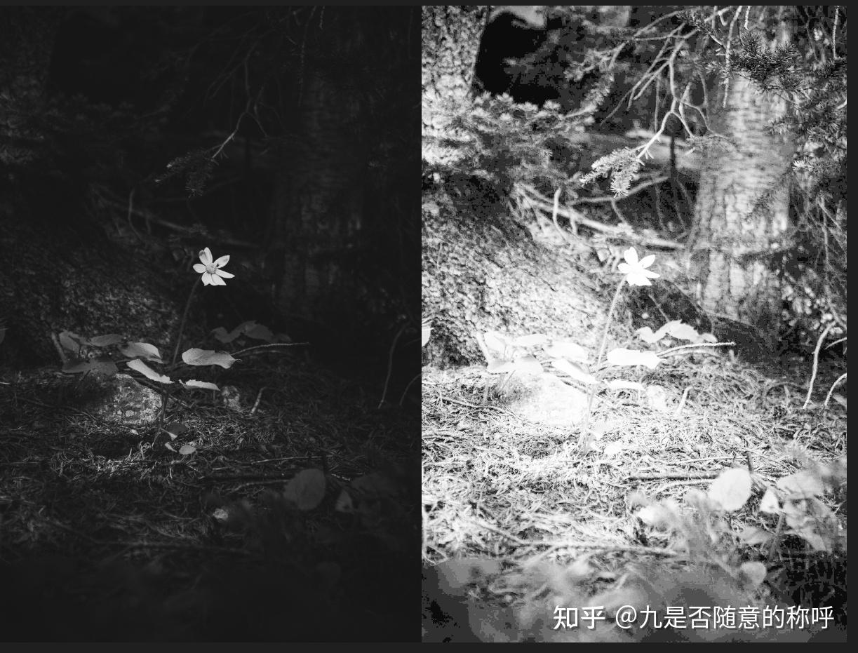Opencv Algorithm:based On Python And C,全局直方图均衡化 知乎