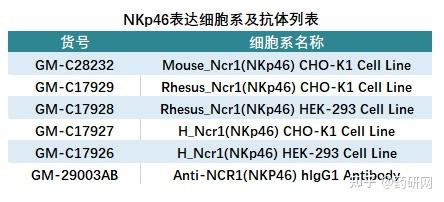 新兴靶点NKp46，推动新一代癌症免疫疗法 - 知乎