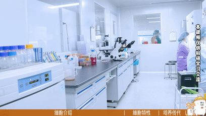 A2780细胞培养，人卵巢癌细胞培养攻略 - 丰晖生物 - 知乎