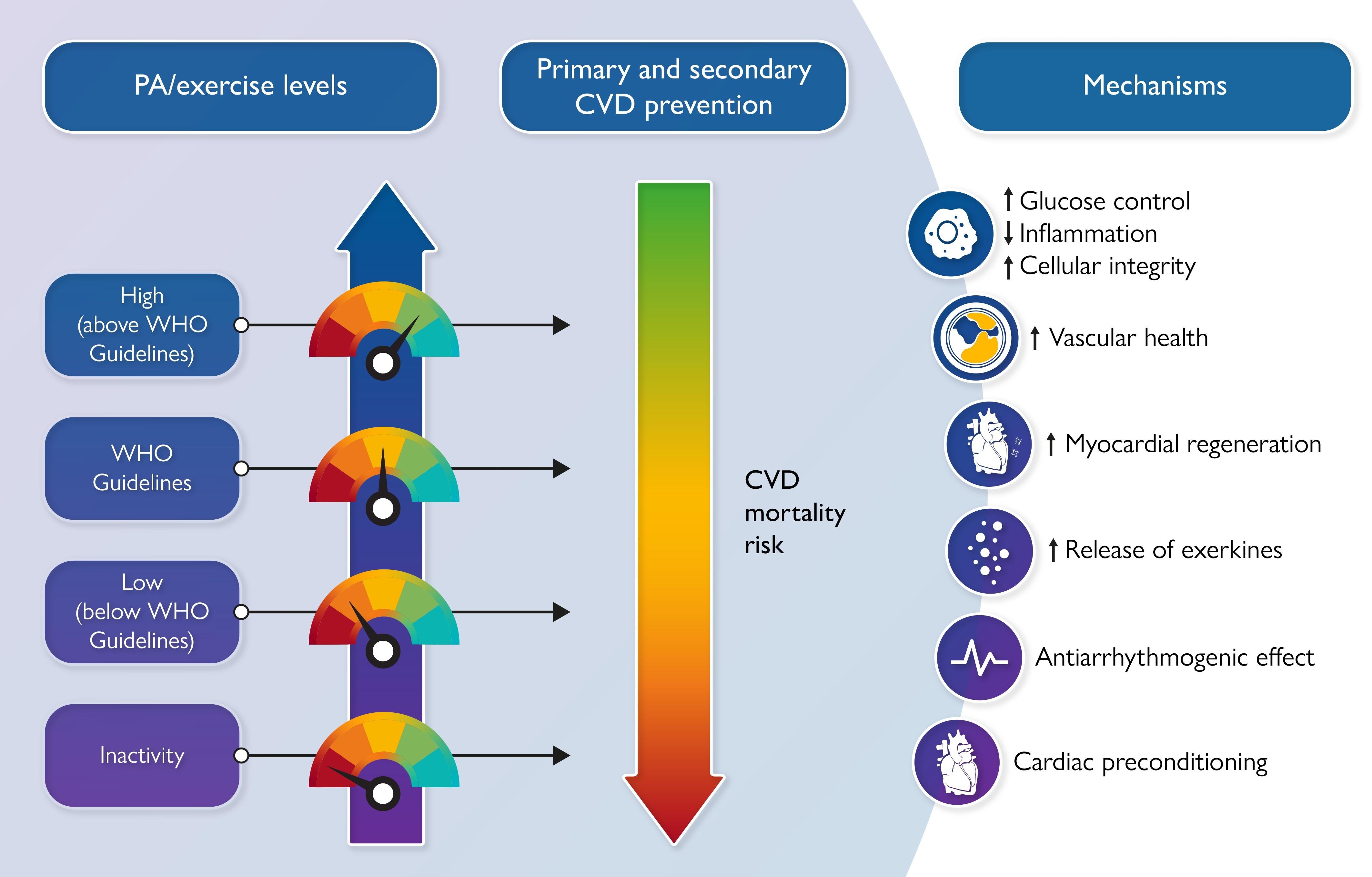 EHJ综述：一文总结运动对心血管疾病的益处 - 知乎