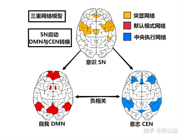 神经科学重新定义：意志•自我•意识 - 知乎