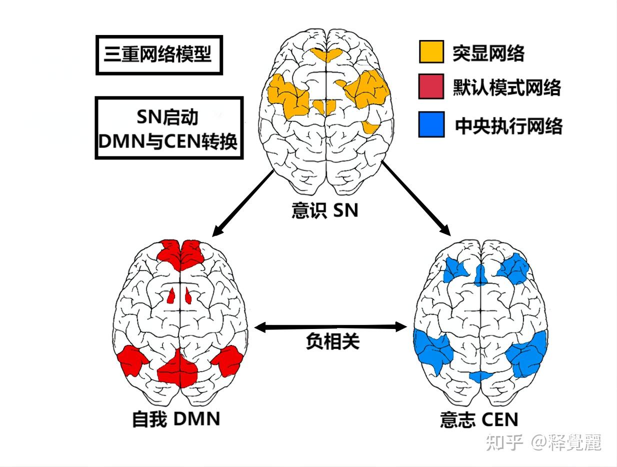 神经科学重新定义：意志•自我•意识 - 知乎