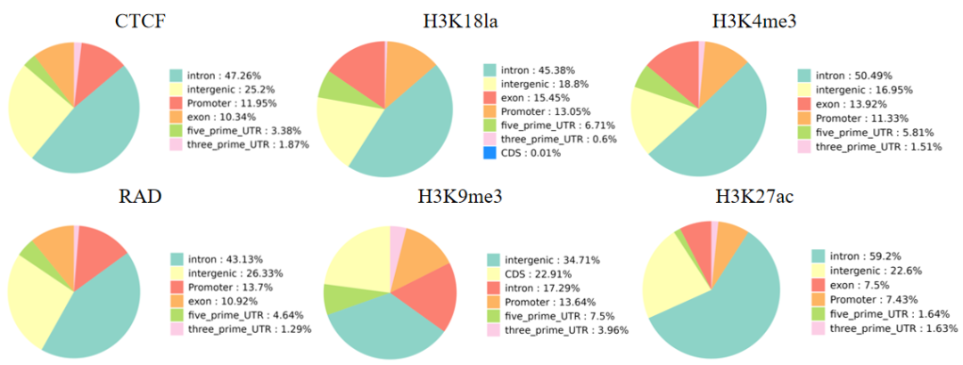 CUT&Tag与ATAC-seq联手，解析表观遗传机制 - 知乎