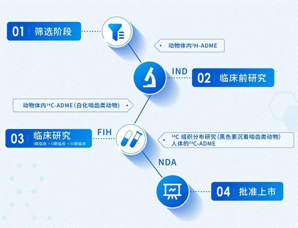 定量全身放射性自显影技术（QWBA）使组织分布实现可视化 - 知乎