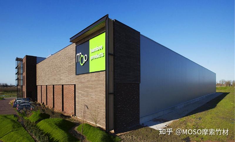 影响世界的植物 · MOSO BAMBOO - 知乎