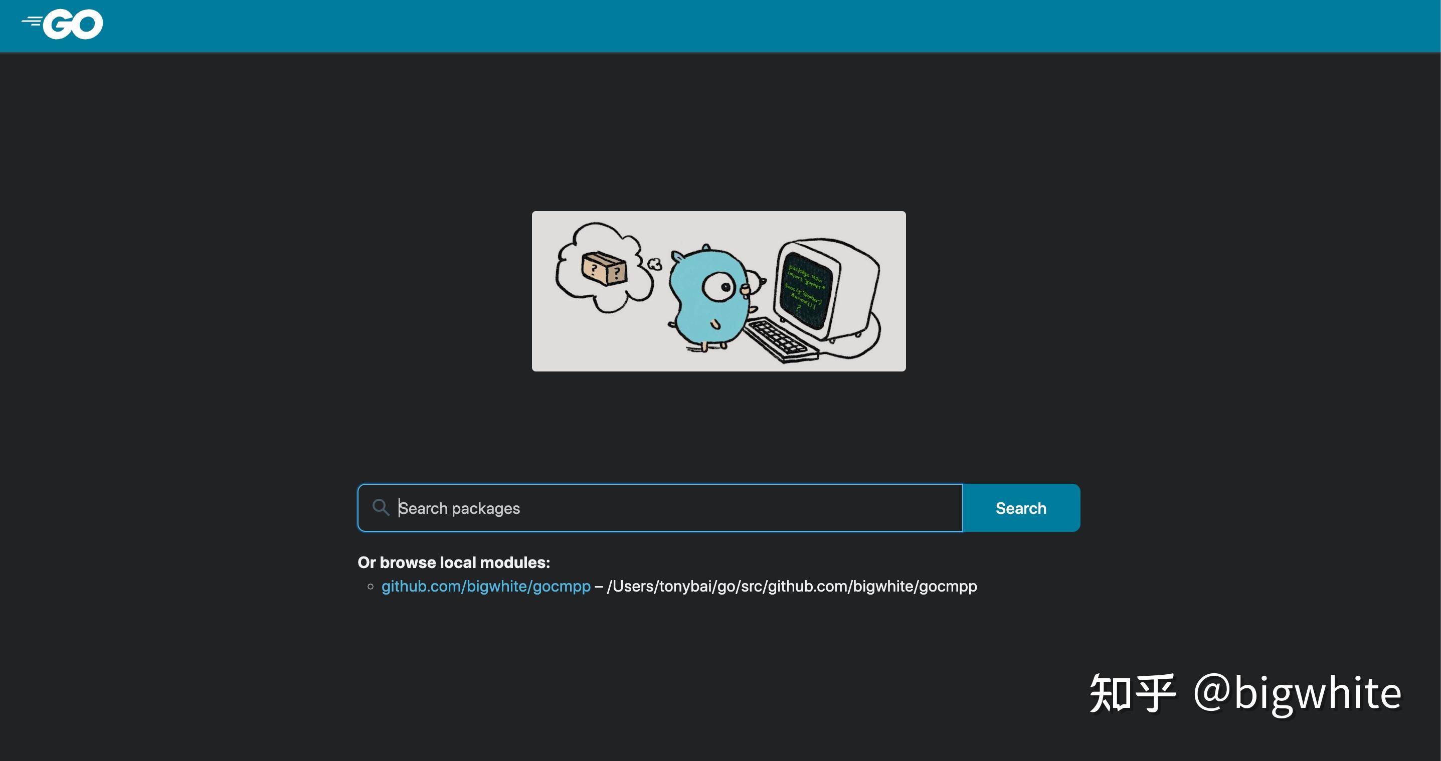 聊聊godoc、go doc与pkgsite - 知乎