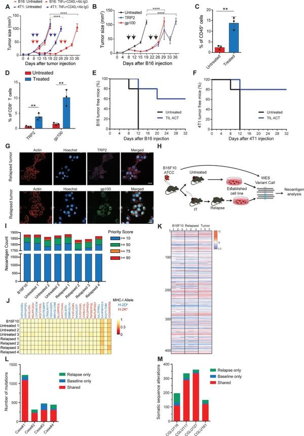 eLife | 细胞内的细胞：形成，复发和免疫治疗耐药 - 知乎