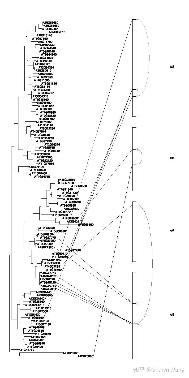 跟着Manual学软件-MCScanX-transposed - 知乎