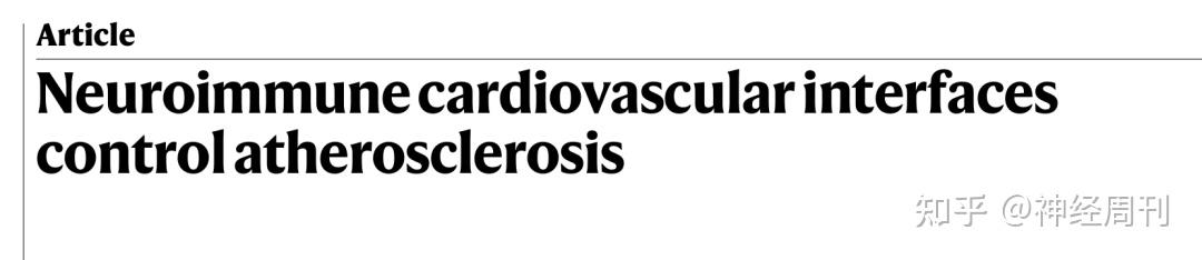 重磅进展！神经免疫-血管轴驱动动脉粥样硬化斑块形成 - 知乎