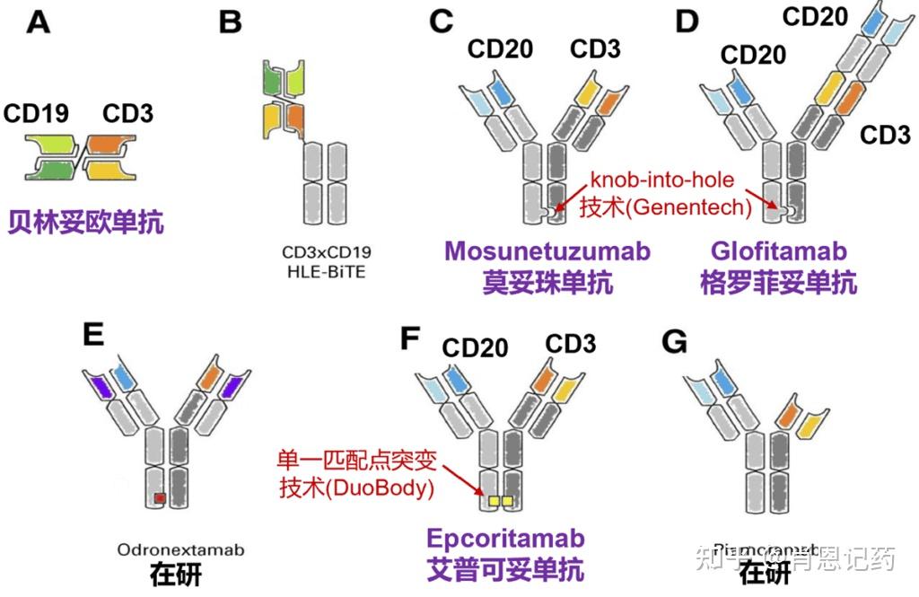 记住所有FDA生物药 | 靶向CD20 x CD3双抗 | Epcoritamab | 弥漫性大B细胞淋巴瘤(DLBCL) - 知乎