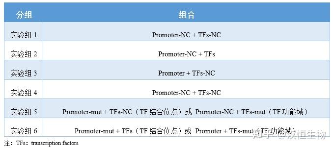 转录因子与启动子相互作用研究策略 - 知乎